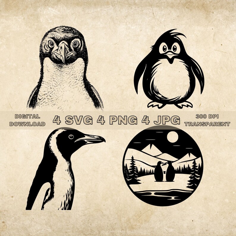 Penguin SVG Bundle PNG Cute Penguin Clipart Hand Drawn - Etsy