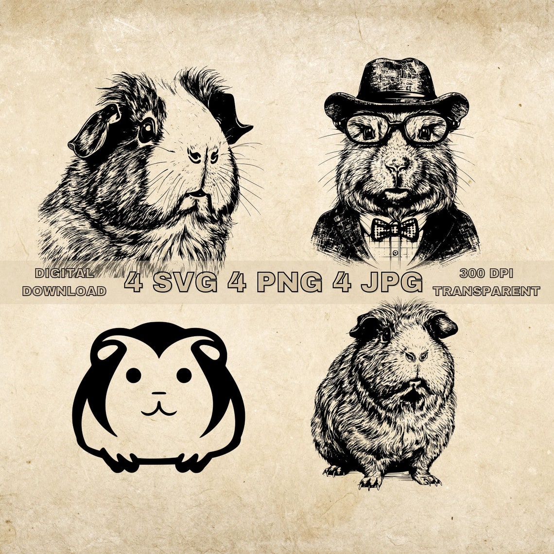 Guinea Pig SVG Bundle PNG Guinea Pig Clipart Hand Drawn - Etsy