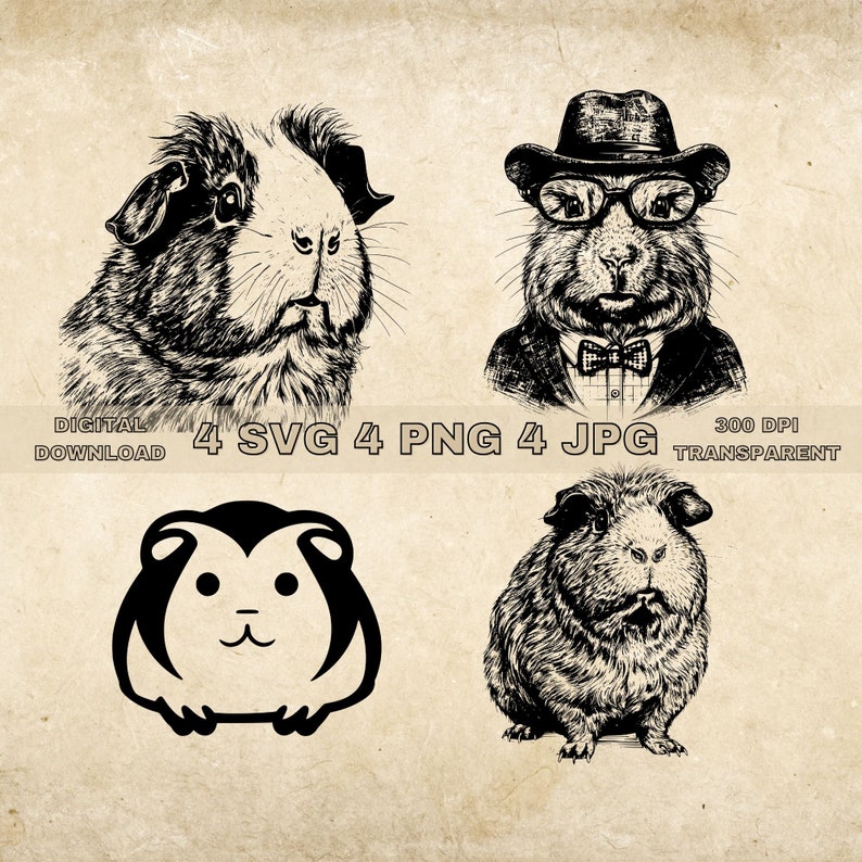 Guinea Pig SVG Bundle PNG Guinea Pig Clipart Hand Drawn - Etsy