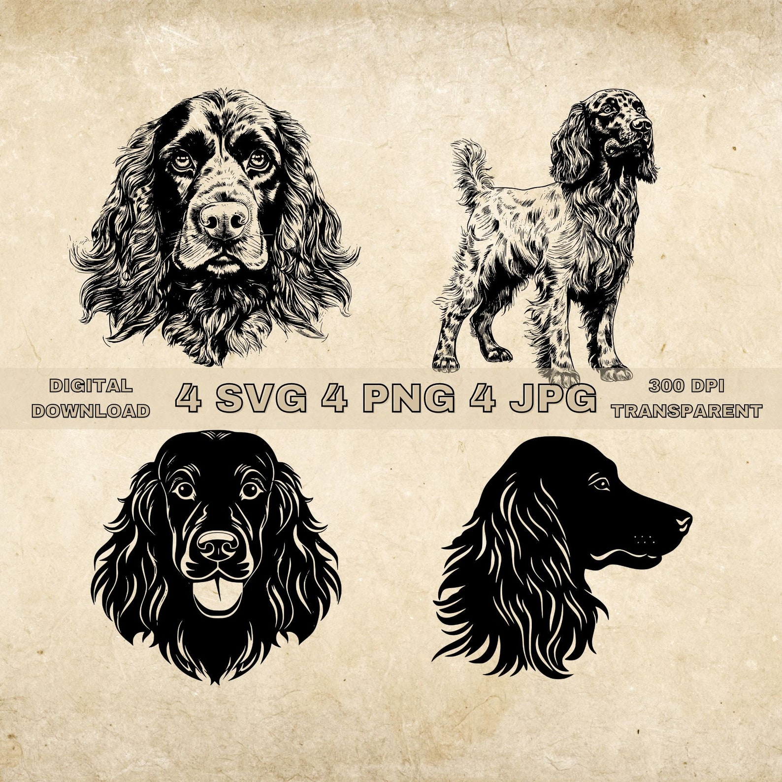 Boykin Spaniel SVG Bundle PNG Dogs Clipart Hand Drawn Dog - Etsy