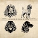 Boykin Spaniel SVG Bundle, PNG, Dogs Clipart, Hand Drawn Dog Vector ...