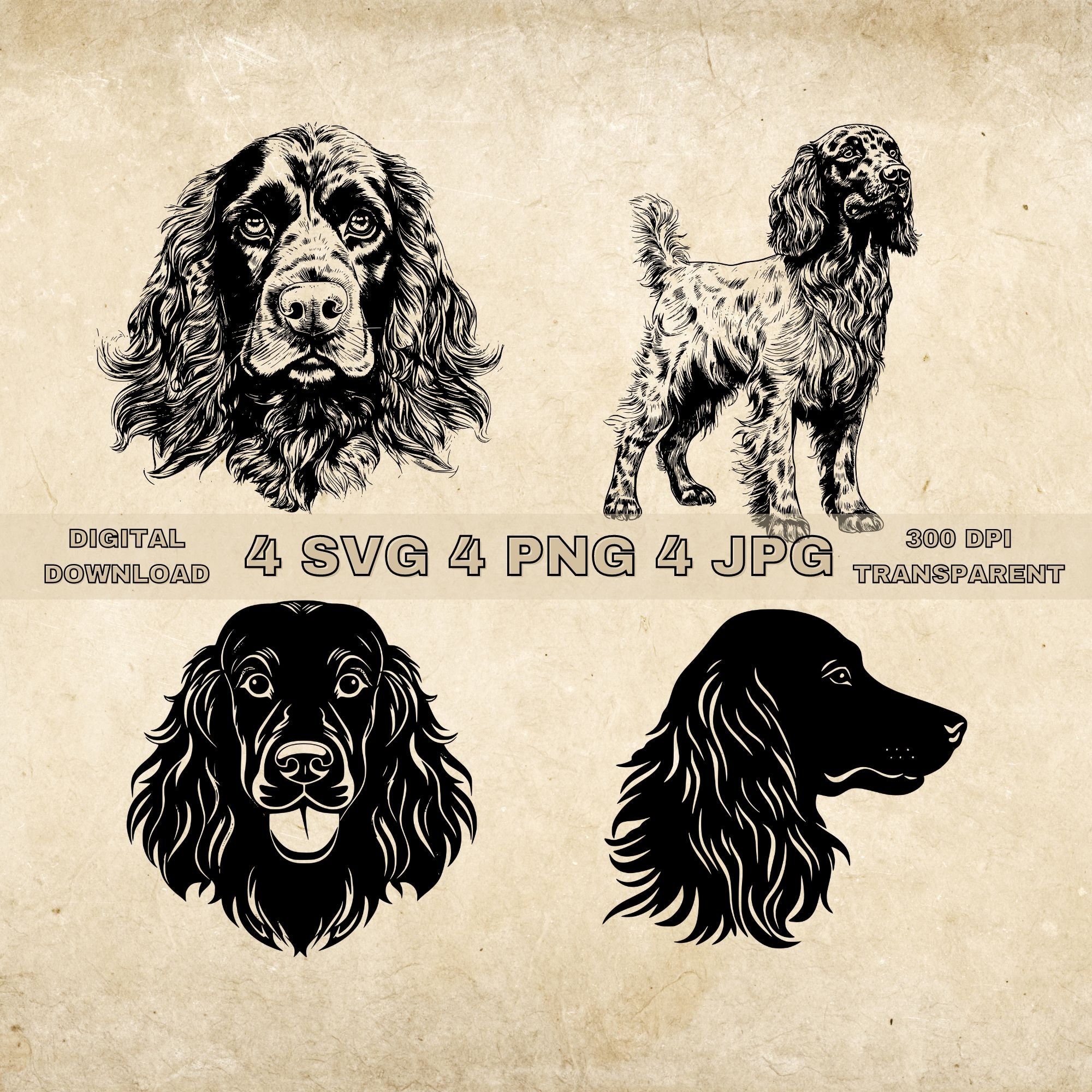 Boykin Spaniel SVG Bundle, PNG, Dogs Clipart, Hand Drawn Dog Vector ...