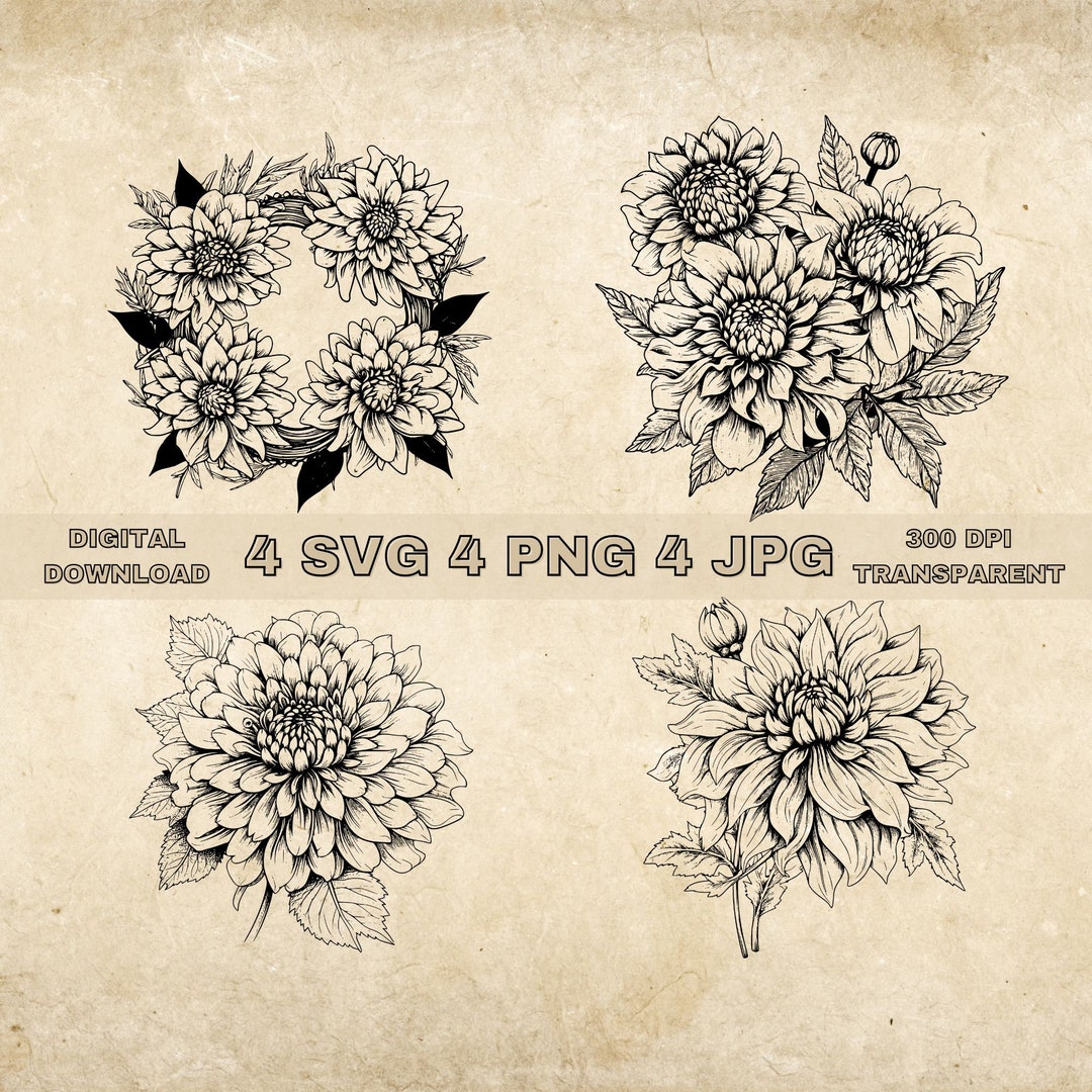 Dahlia Flower SVG Bundle, PNG, Dahlia Flower Clipart, Hand Drawn ...