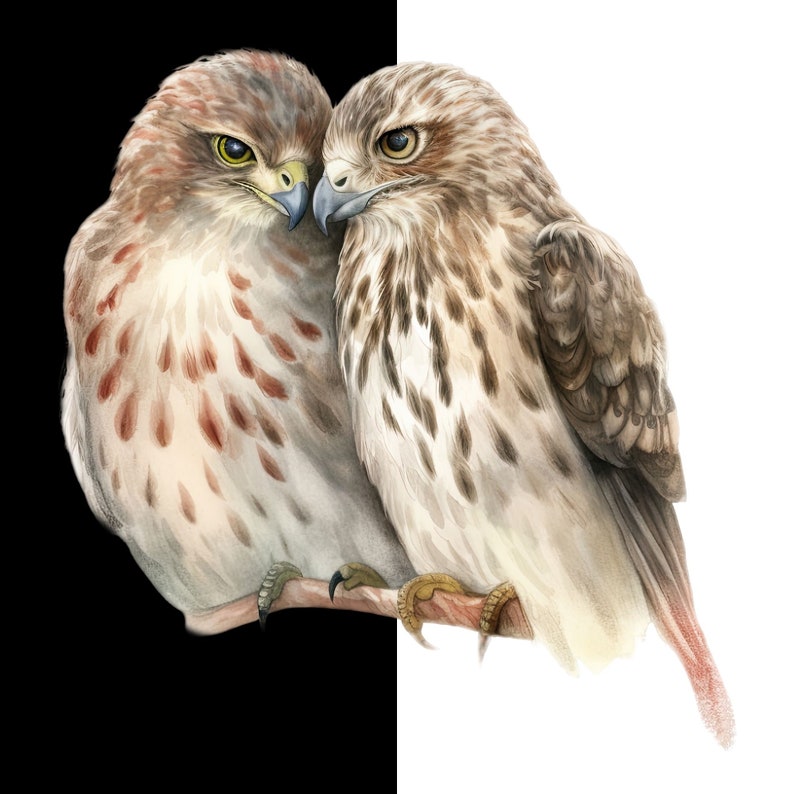 Floral Hawk Clipart Hawk PNG Files for Sublimation Hawks - Etsy