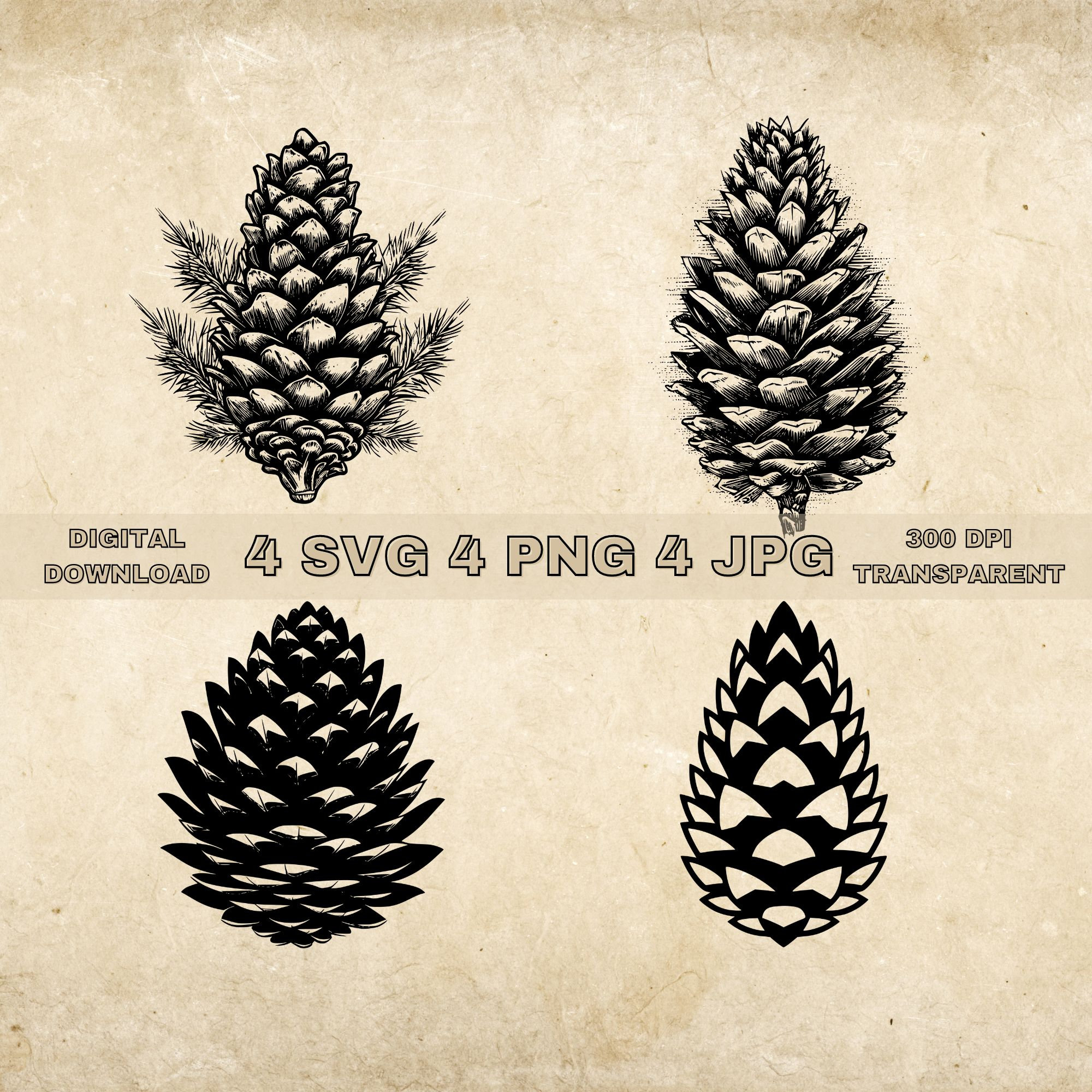 Pinecone SVG Bundle, PNG, Pinecone Clipart, Hand Drawn Pinecones Vector ...