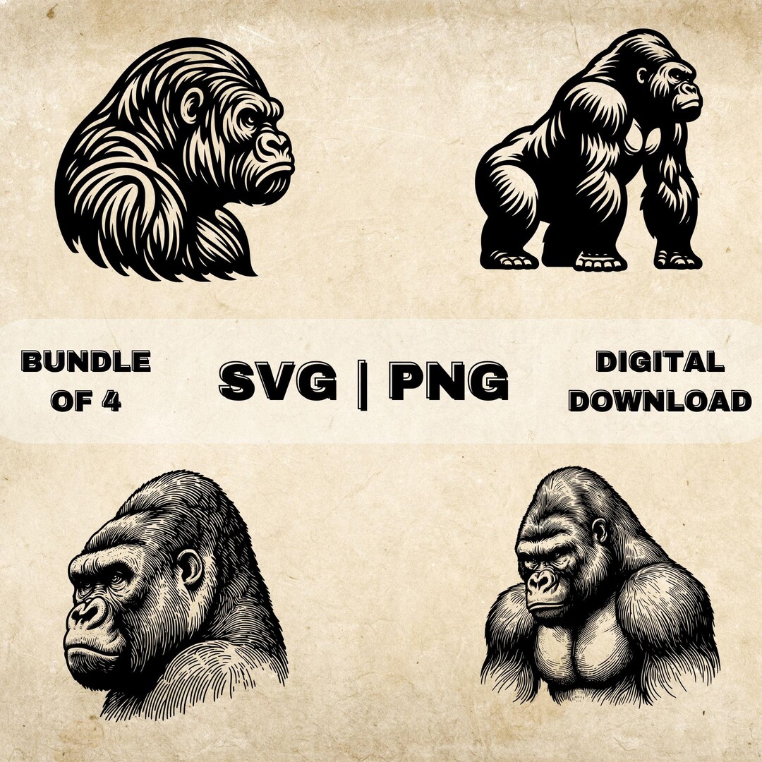 Gorilla SVG Bundle, Gorilla Clipart, Hand Drawn Gorilla Theme Vector ...