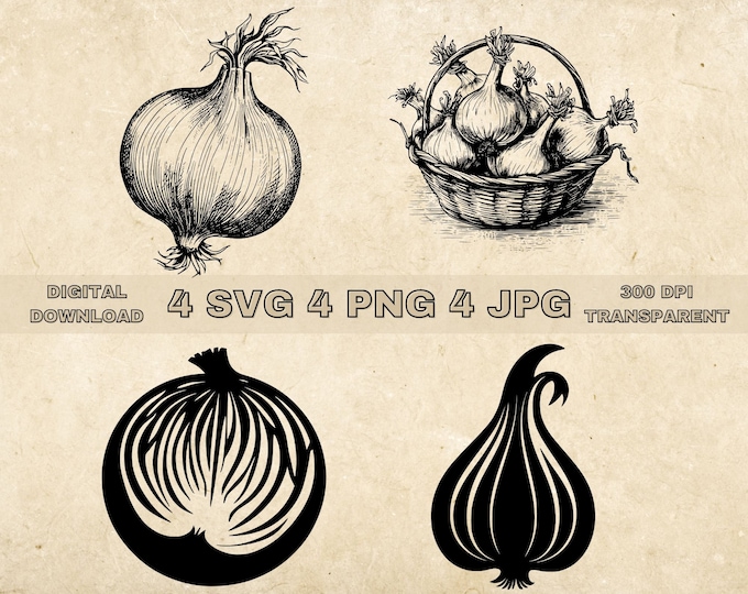 Onion Painting Original Art, Vegetable Oil Painting, Kitchen Decor ...