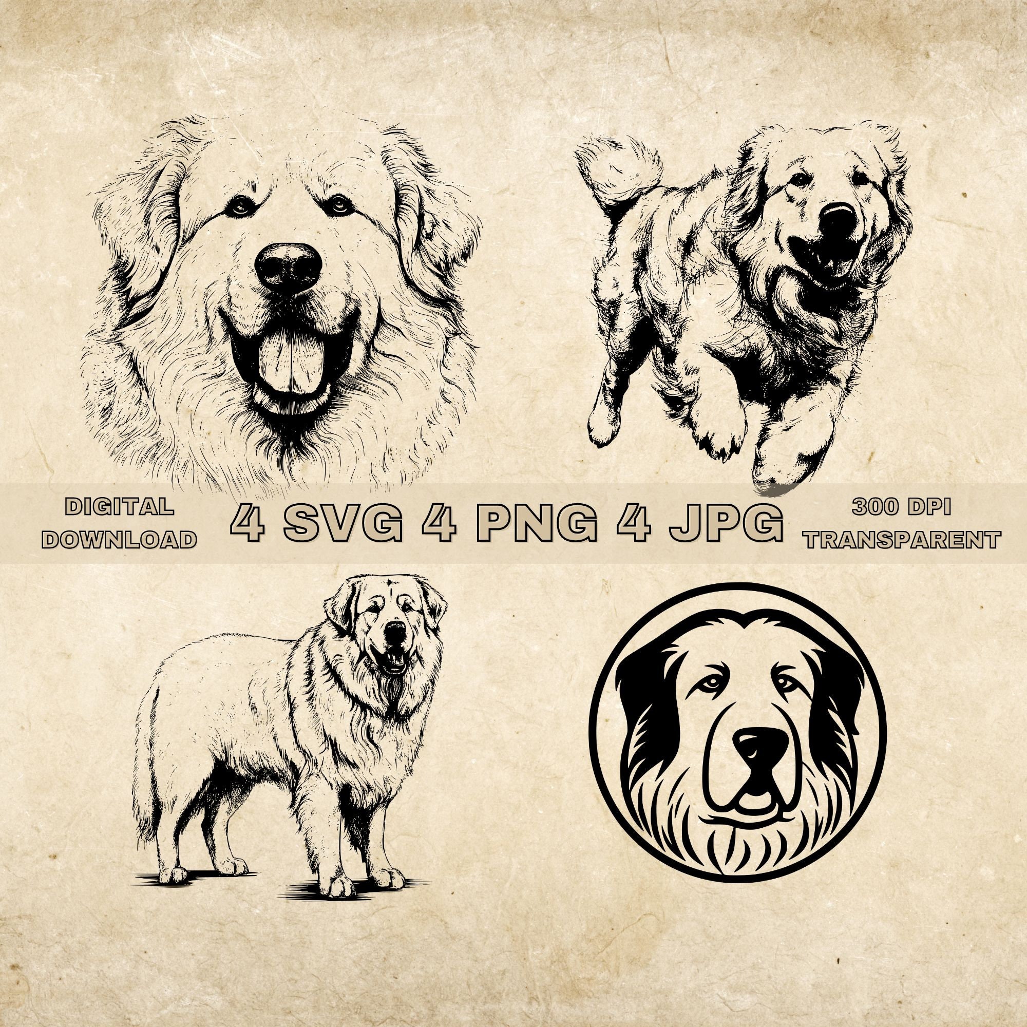 Great Pyrenees SVG Bundle, PNG, Dogs Clipart, Hand Drawn Dog Vector ...