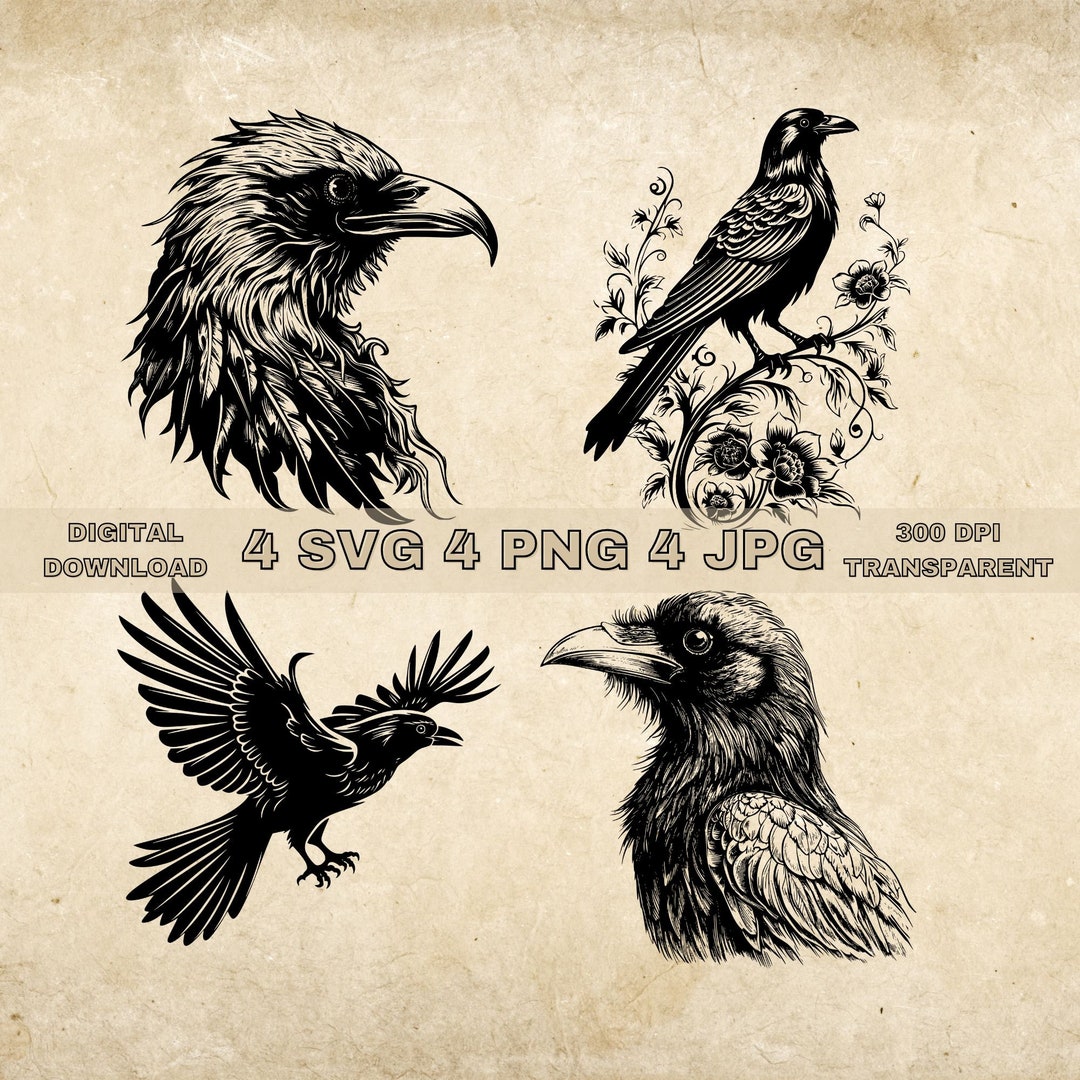Raven SVG Bundle, PNG, Crows Clipart, Hand Drawn Raven Vector ...