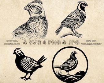 Pinecone SVG Bundle, PNG, Pinecone Clipart, Hand Drawn Pinecones Vector ...