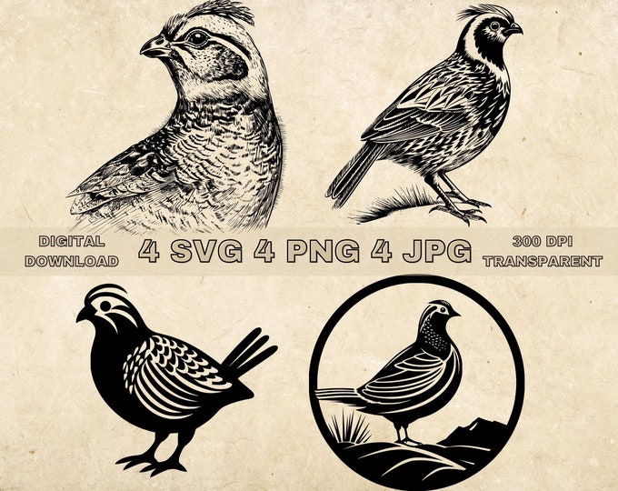 Quail Clipart - Quail SVG - Quail Decal - Quail Stencil - Quail Vector ...