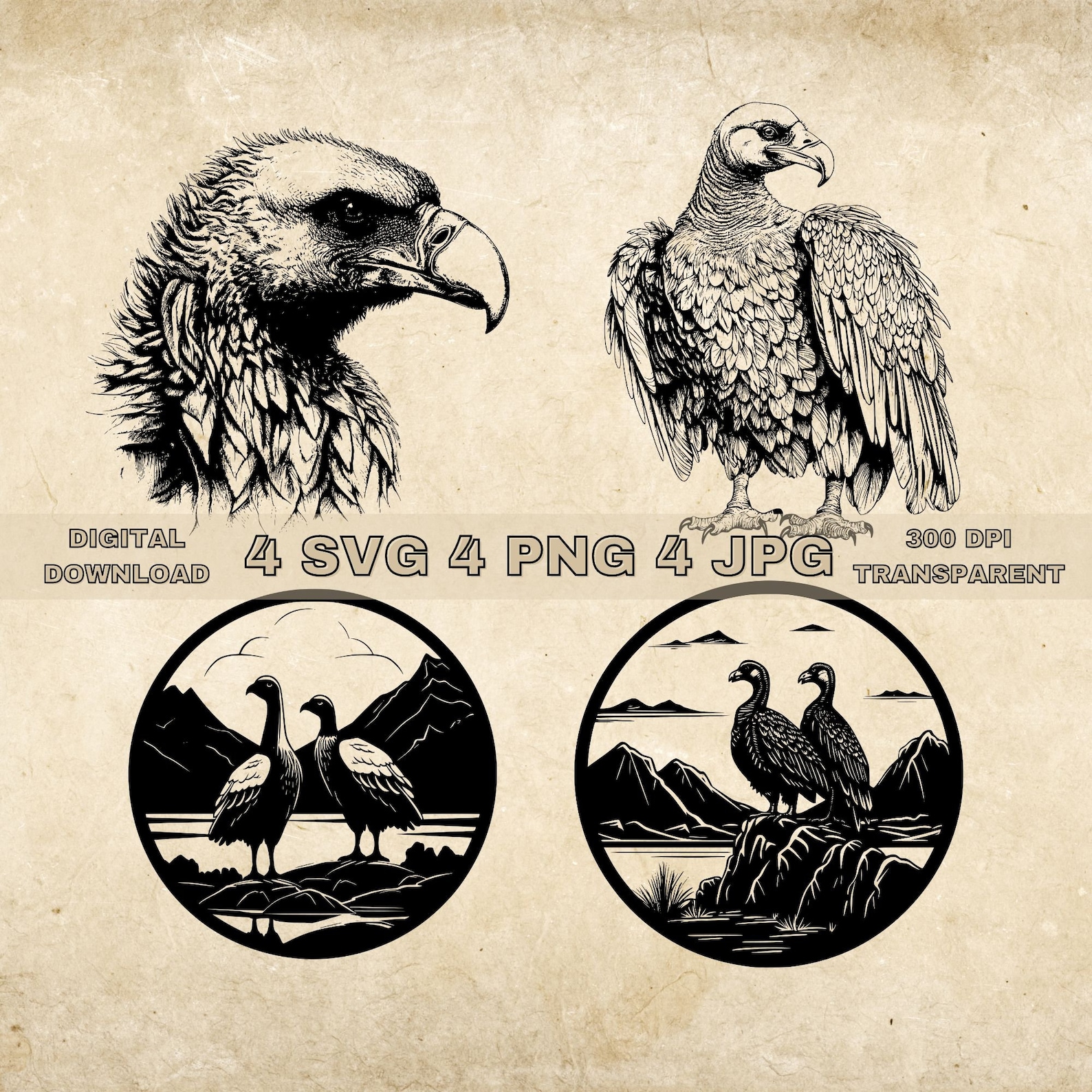 Vulture SVG Bundle PNG Vulture Clipart Hand Drawn Vulture - Etsy