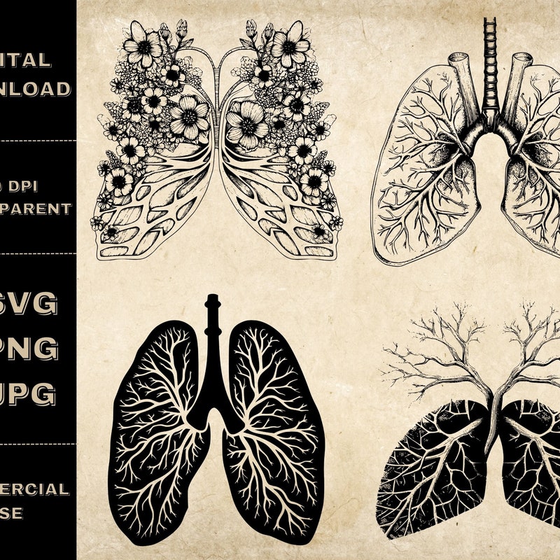 Lung Svg - Etsy