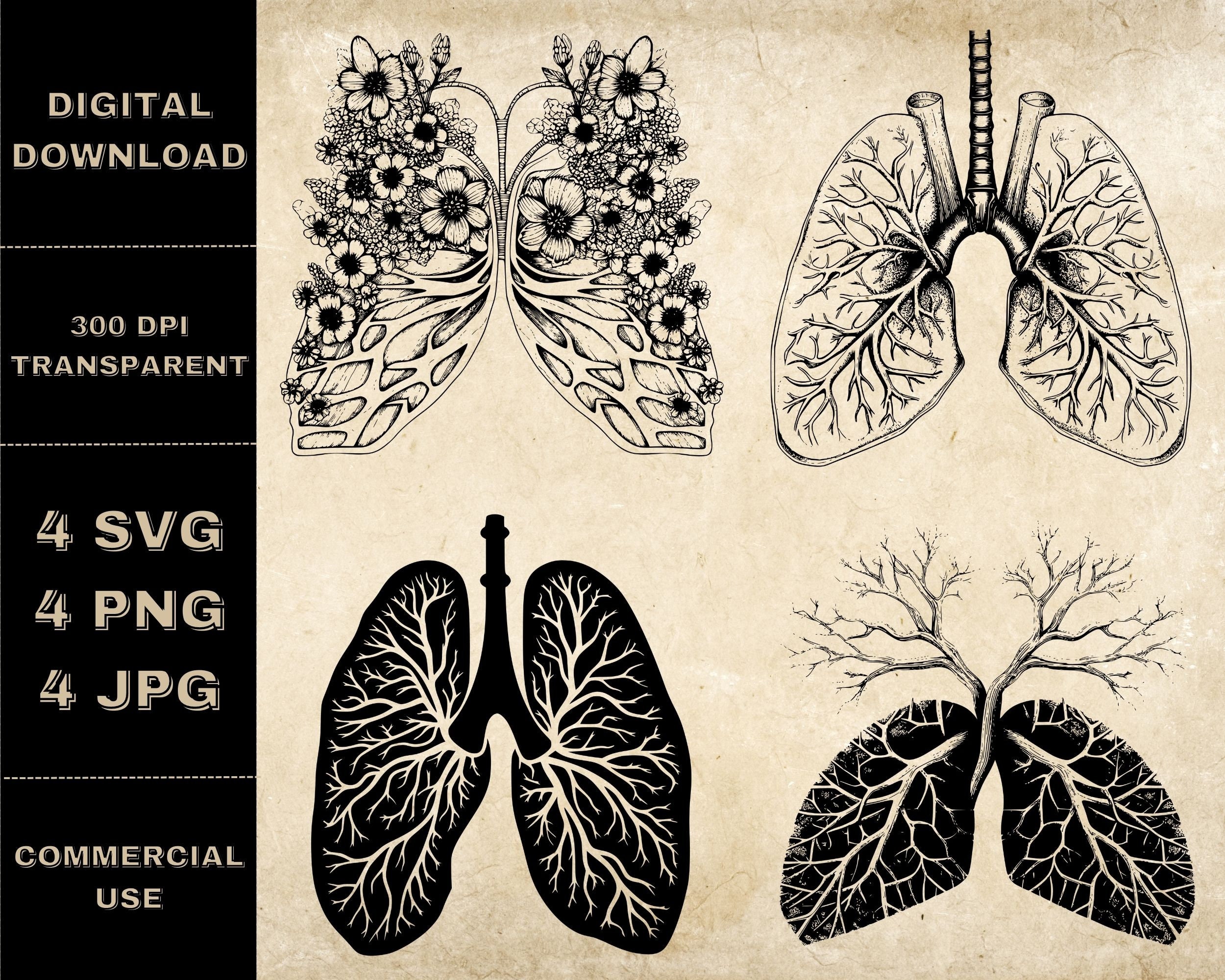Lungs SVG Bundle PNG Floral Lungs Clipart Hand Drawn Lungs - Etsy
