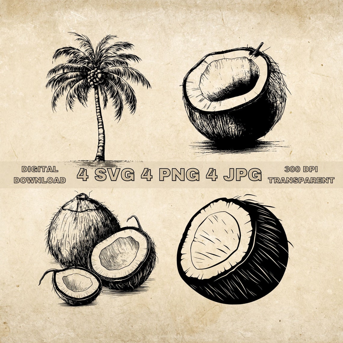 Coconut SVG Bundle PNG Tropical Fruit Clipart Hand Drawn - Etsy