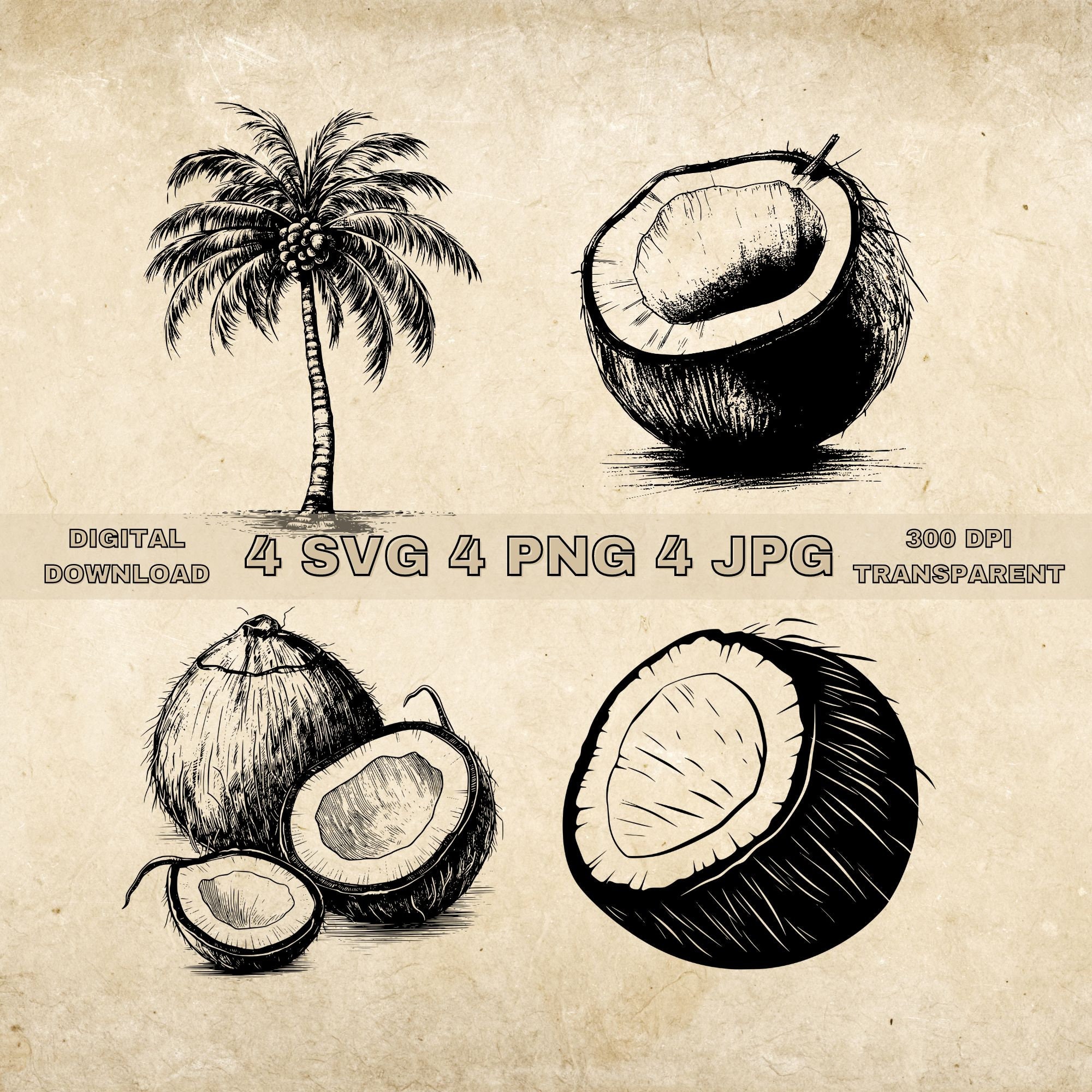 Paquete SVG de coco PNG imágenes prediseñadas de frutas - Etsy España