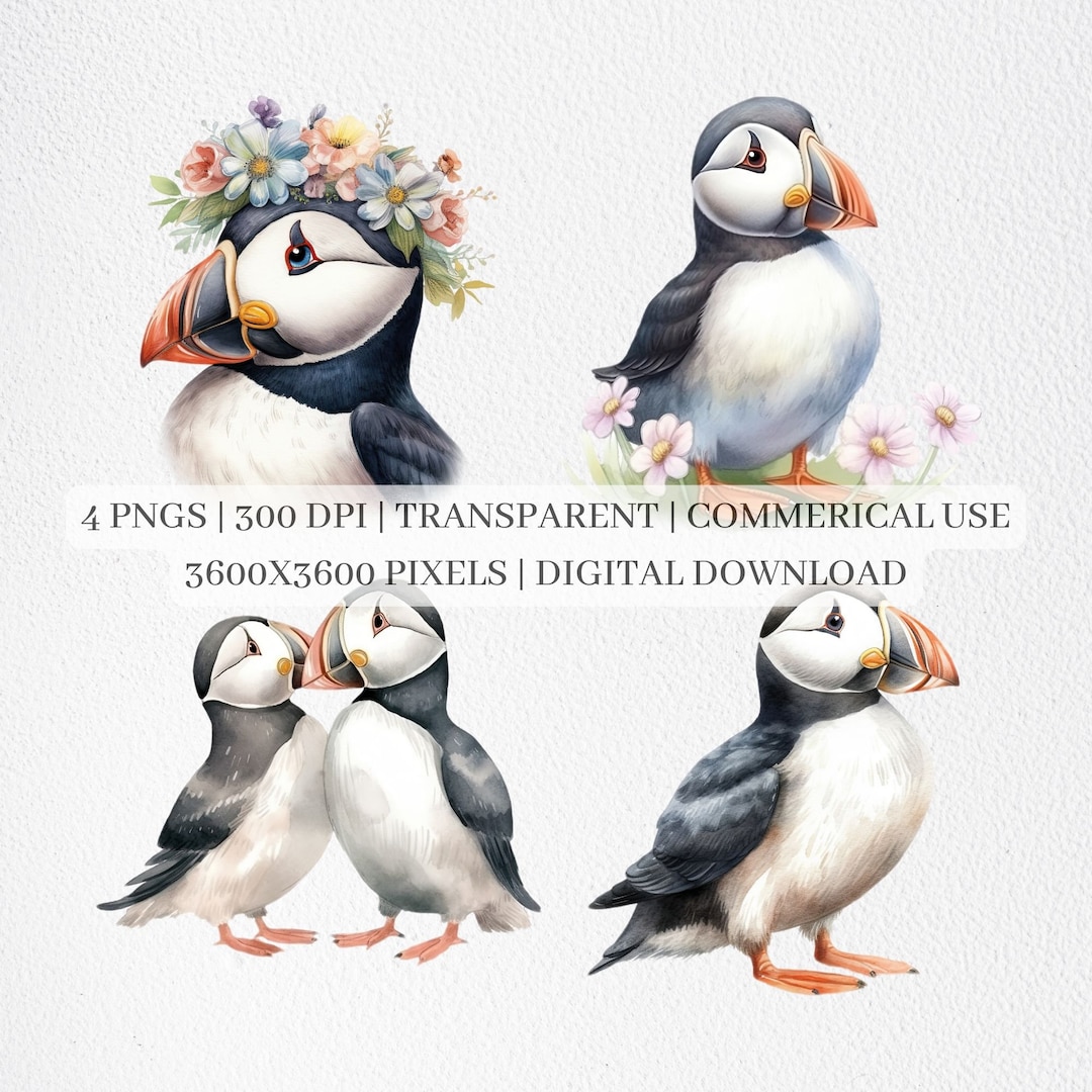 Cute Puffin Clipart, Puffin PNG Files for Sublimation, Tropical Bird ...