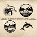 Dolphin SVG Bundle, PNG, Dolphins Clipart, Hand Drawn Ocean Scene ...