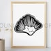Clam With Pearl SVG Bundle, PNG, Clam Clipart, Hand Drawn Sea Shells ...