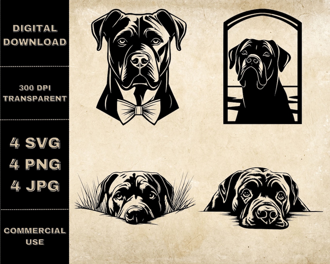 Cane Corso SVG Bundle, PNG, Cute Dogs Clipart, Hand Drawn Peeking Dog ...