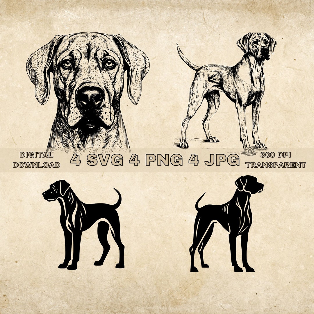 Rhodesian Ridgeback SVG Bundle, PNG, Dogs Clipart, Hand Drawn Dog ...