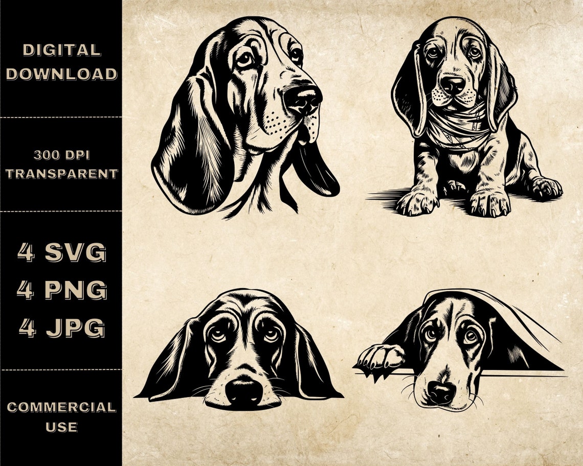 Basset Hound SVG Bundle, PNG, Funny Dog Clipart, Hand Drawn Peeking Dog ...