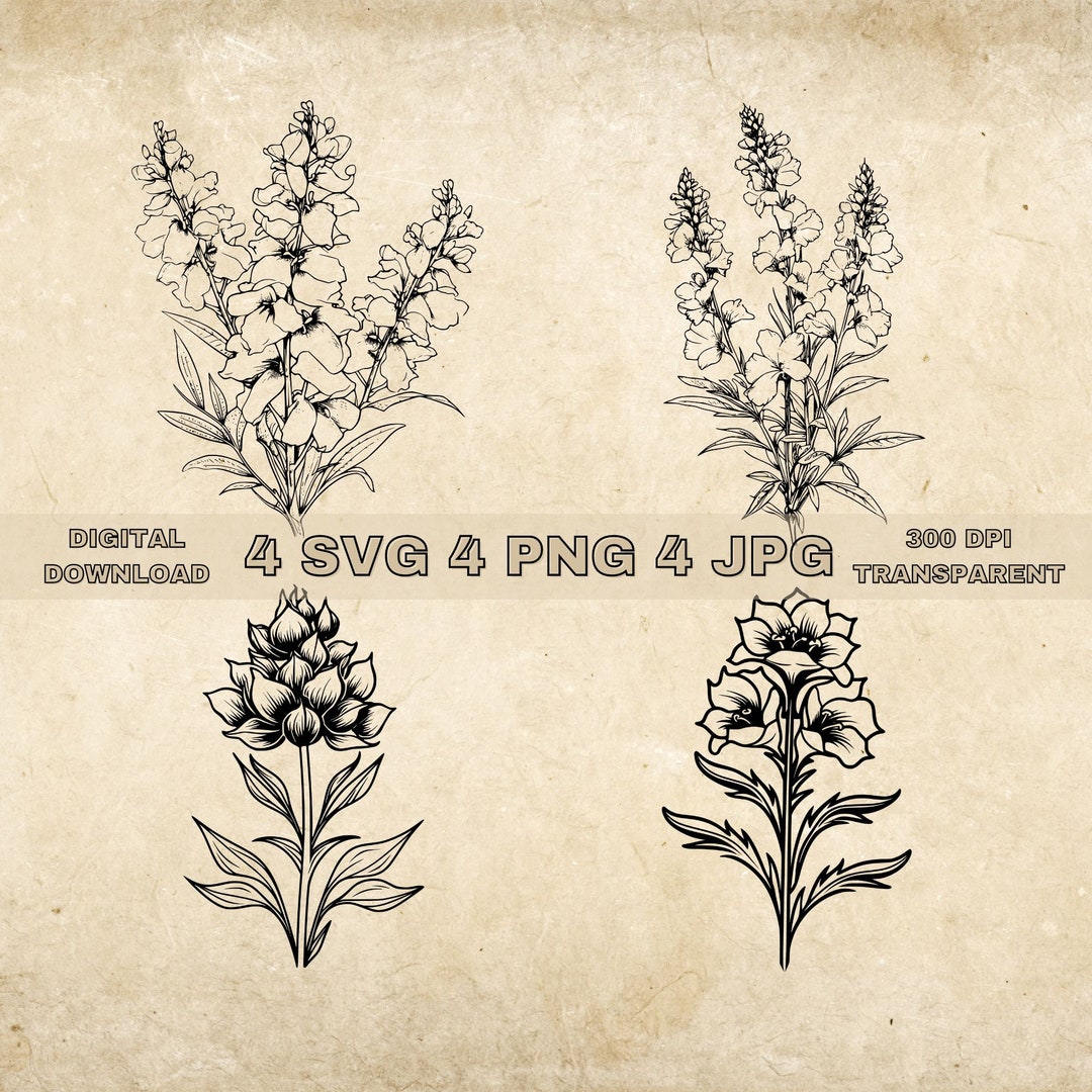 Larkspur SVG Bundle, PNG, Floral Clipart, Hand Drawn Flowers Graphic ...