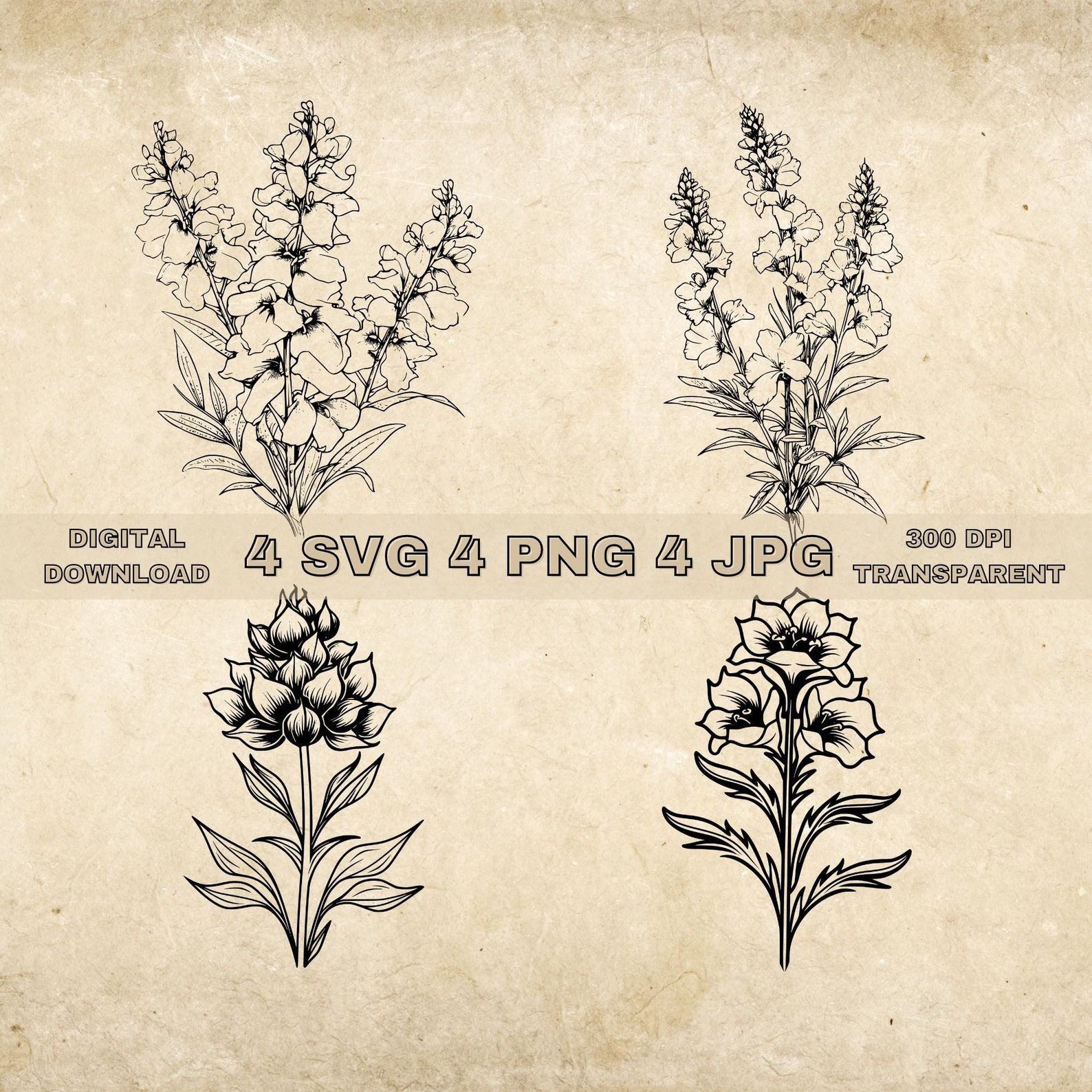 Larkspur SVG Bundle, PNG, Floral Clipart, Hand Drawn Flowers Graphic ...