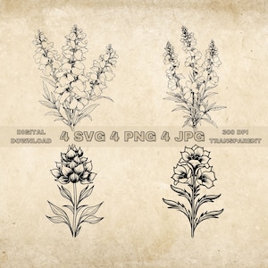 Larkspur SVG Bundle, PNG, Floral Clipart, Hand Drawn Flowers Graphic ...