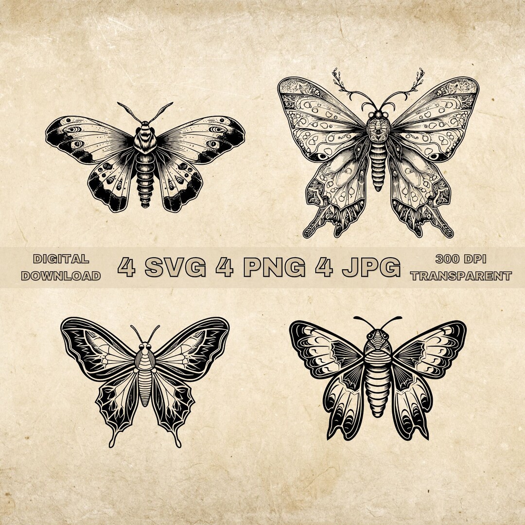 Moth SVG Bundle, PNG, Moth Clipart, Hand Drawn Moths Vector ...