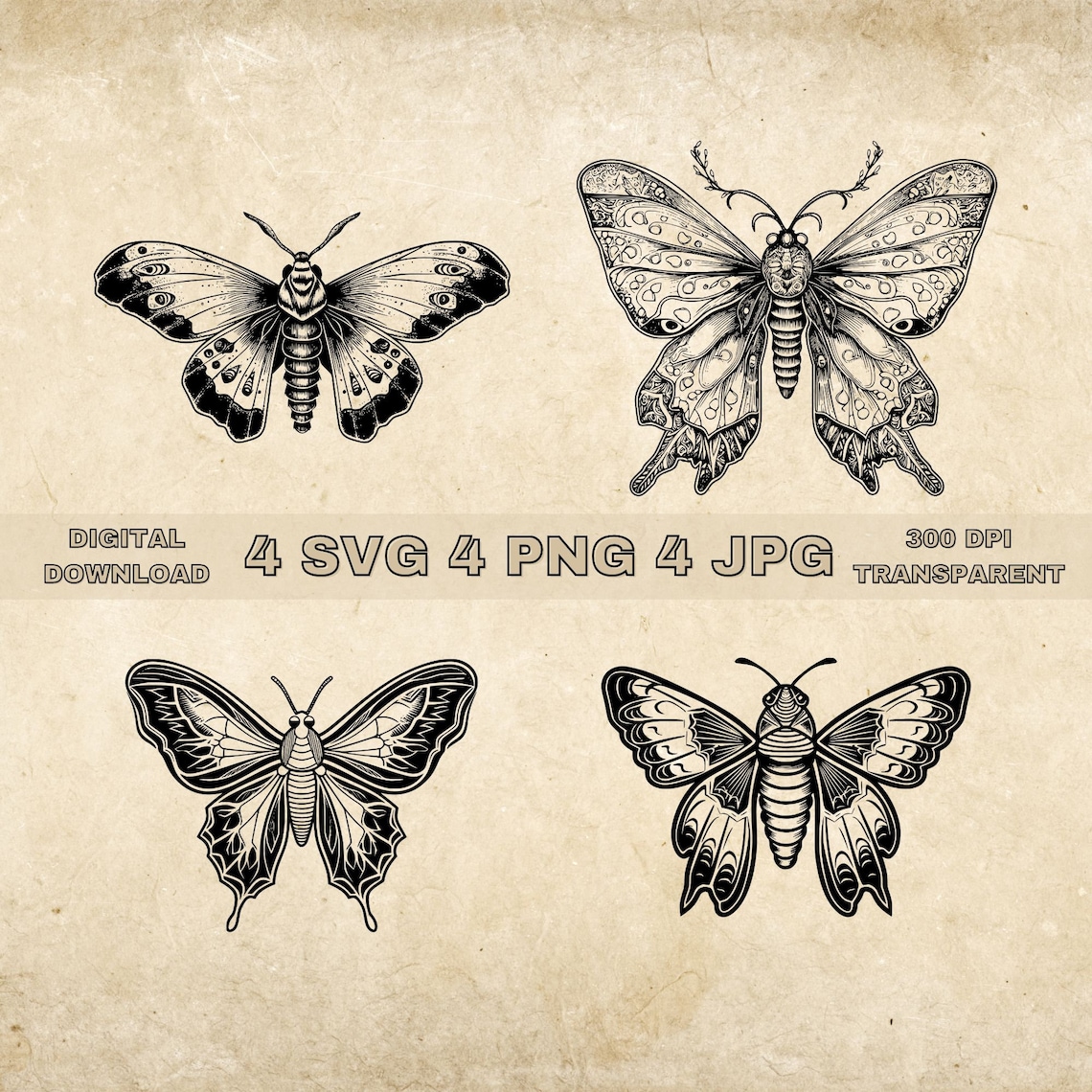Moth SVG Bundle, PNG, Moth Clipart, Hand Drawn Moths Vector ...