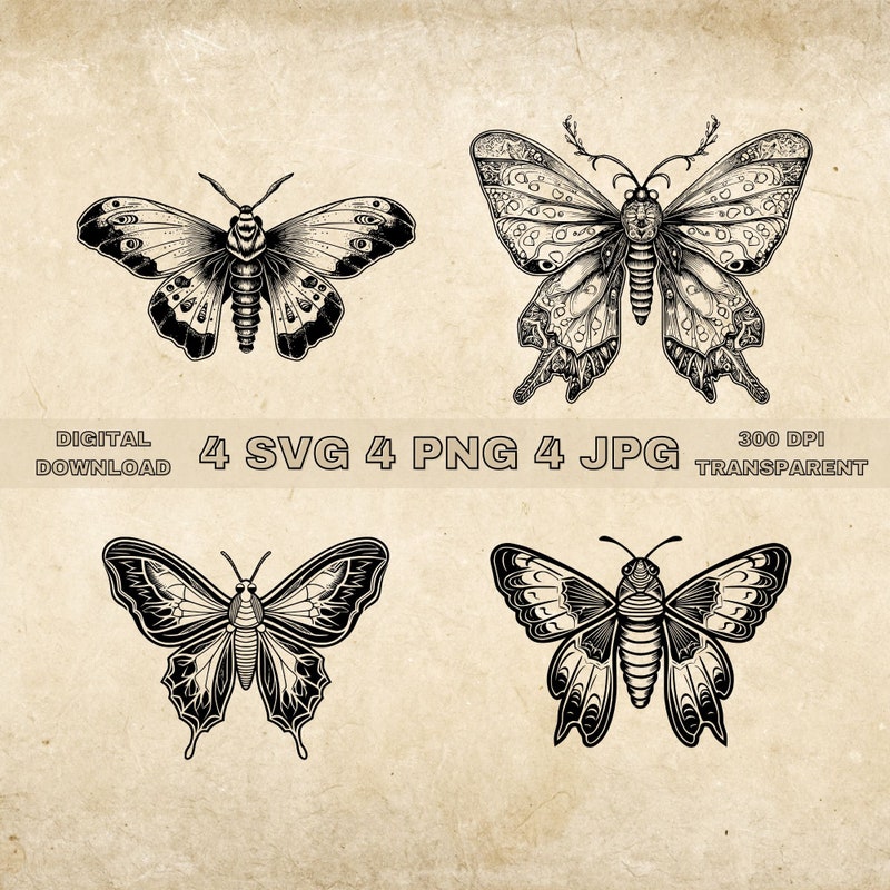 Gothic Moth Svg - Etsy
