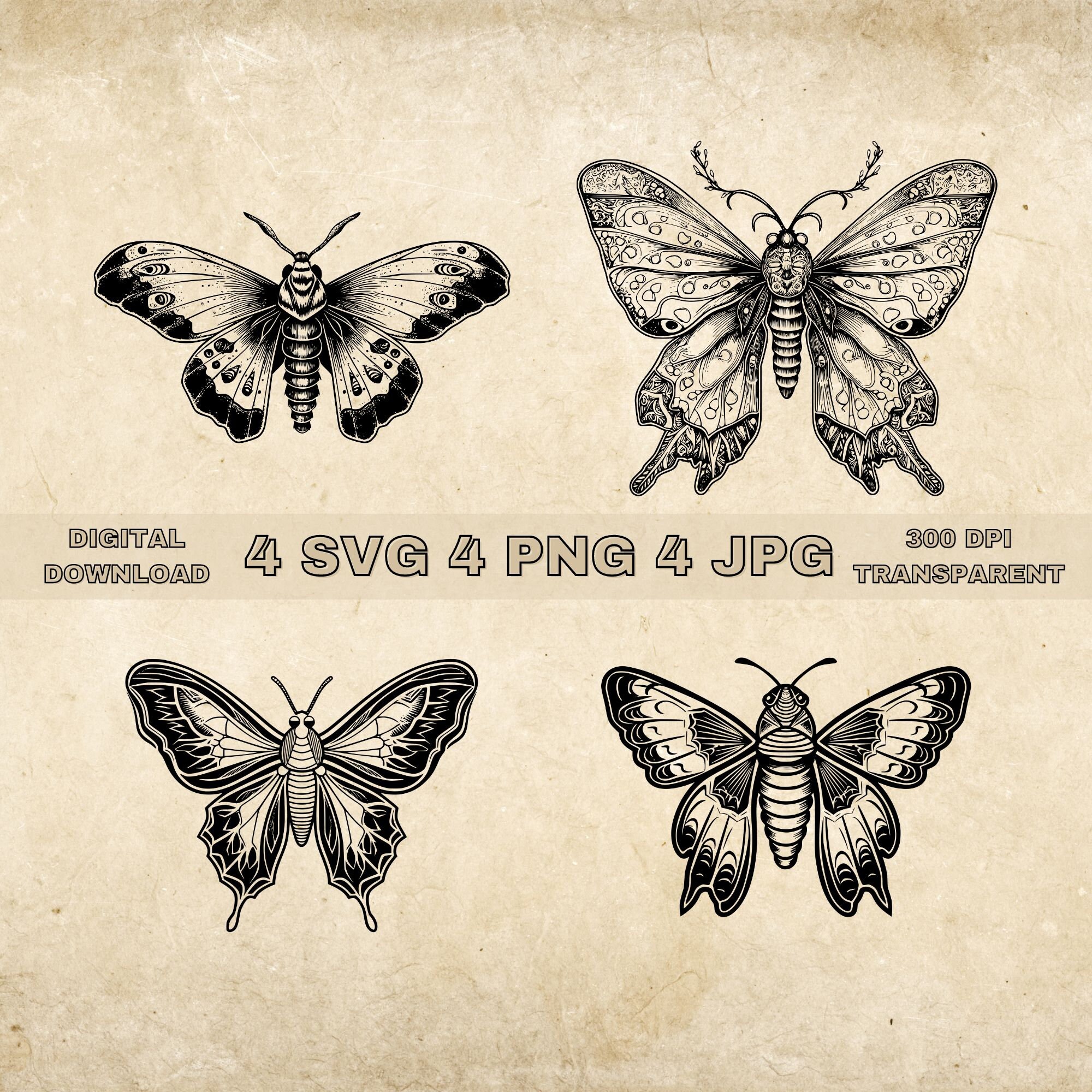 Moth SVG Bundle PNG Moth Clipart Hand Drawn Moths Vector - Etsy
