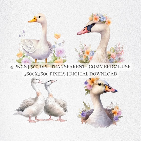 Clip Art Goose