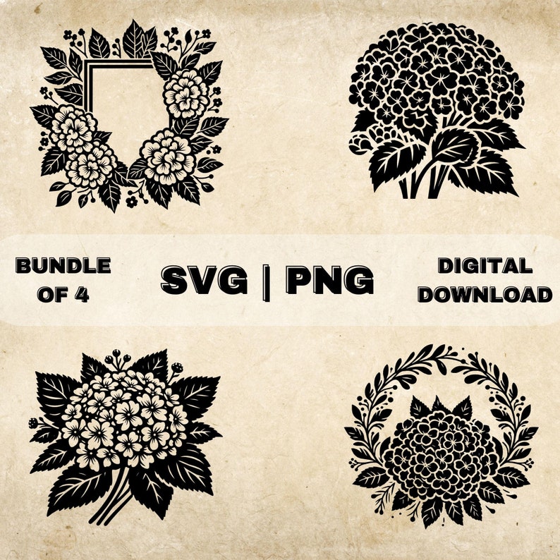 Hydrangea SVG Bundle, Flowers Clipart, Hand Drawn Floral Theme Vector ...