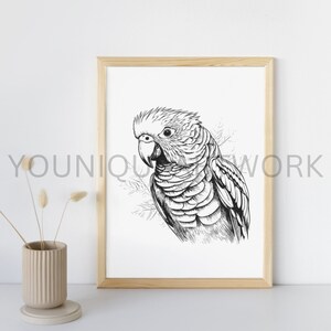 Parakeet SVG Bundle, PNG, Parrot Clipart, Hand Drawn Birds Vector ...