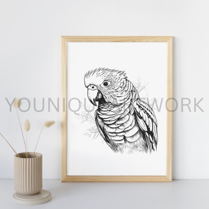 Parakeet SVG Bundle, PNG, Parrot Clipart, Hand Drawn Birds Vector ...