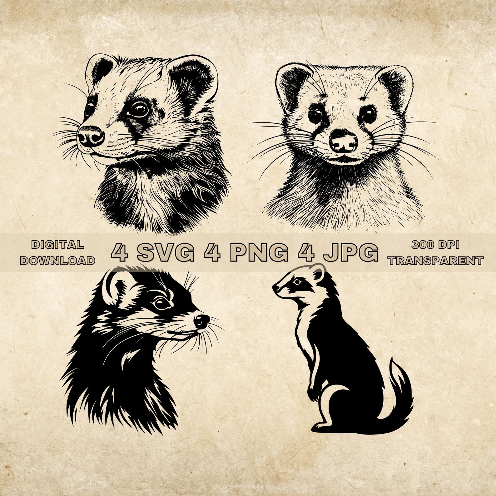 Ferret SVG Bundle, PNG, Ferret Clipart, Hand Drawn Ferrets Vector ...