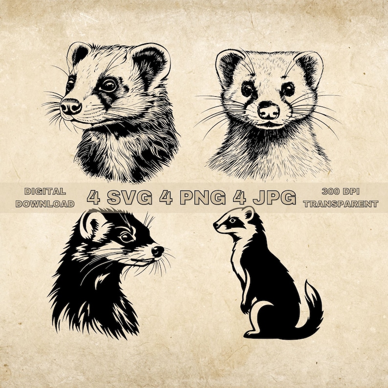 Ferret SVG Bundle, PNG, Ferret Clipart, Hand Drawn Ferrets Vector ...