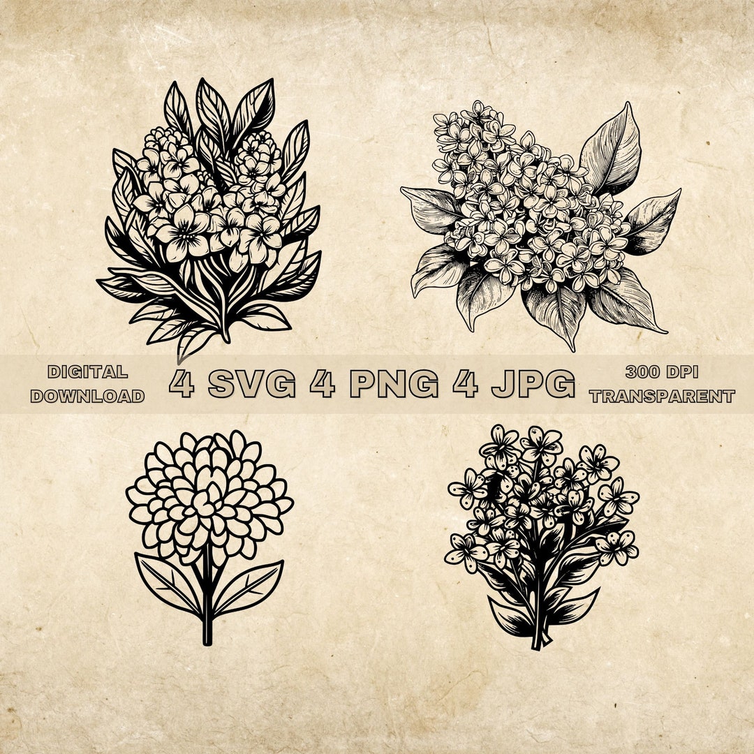 Lilac SVG Bundle, PNG, Flowers Clipart, Hand Drawn Lilacs Vector ...