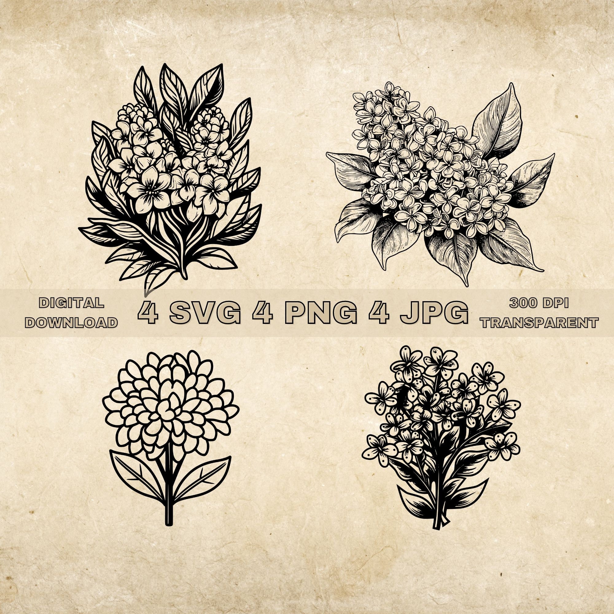 Lilac SVG Bundle, PNG, Flowers Clipart, Hand Drawn Lilacs Vector ...