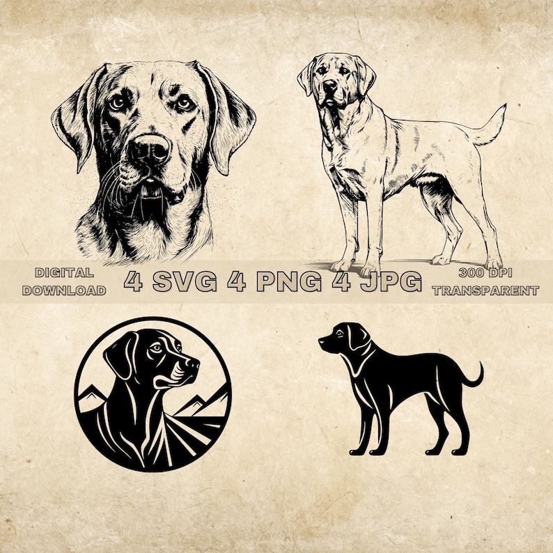 Labrador Retriever SVG Bundle PNG Dogs Clipart Hand Drawn - Etsy