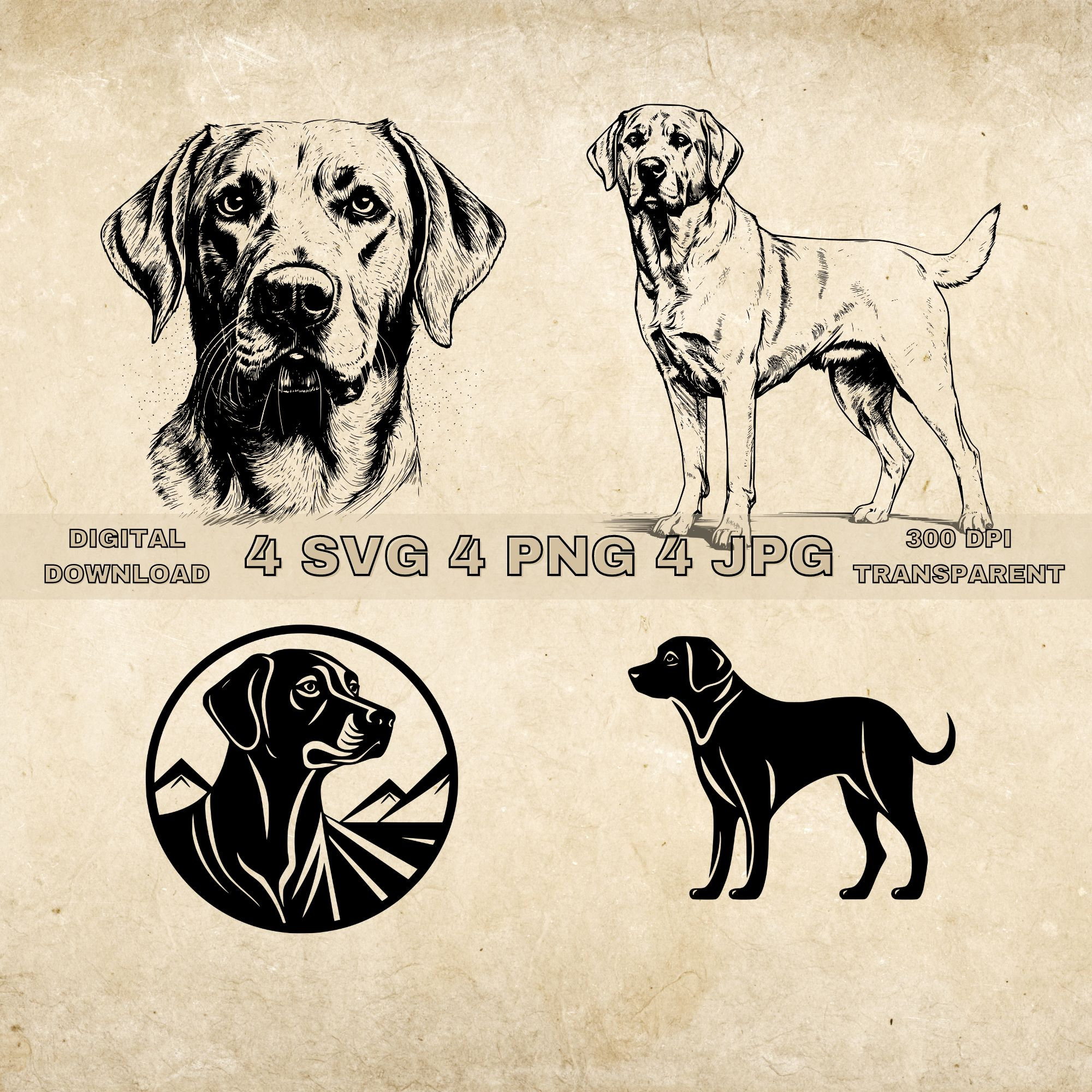 Labrador Retriever SVG Bundle, PNG, Dogs Clipart, Hand Drawn Dog Vector ...