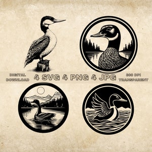 Loon SVG Bundle, PNG, Loon Clipart, Hand Drawn Loons Vector ...