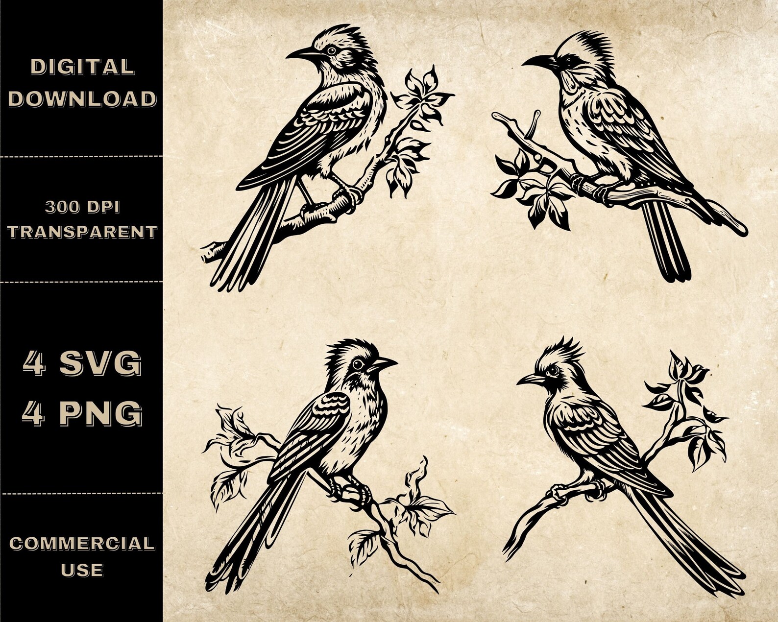 Quetzal SVG Bundle, PNG, Quetzal Clipart, Hand Drawn Quetzal Vector ...