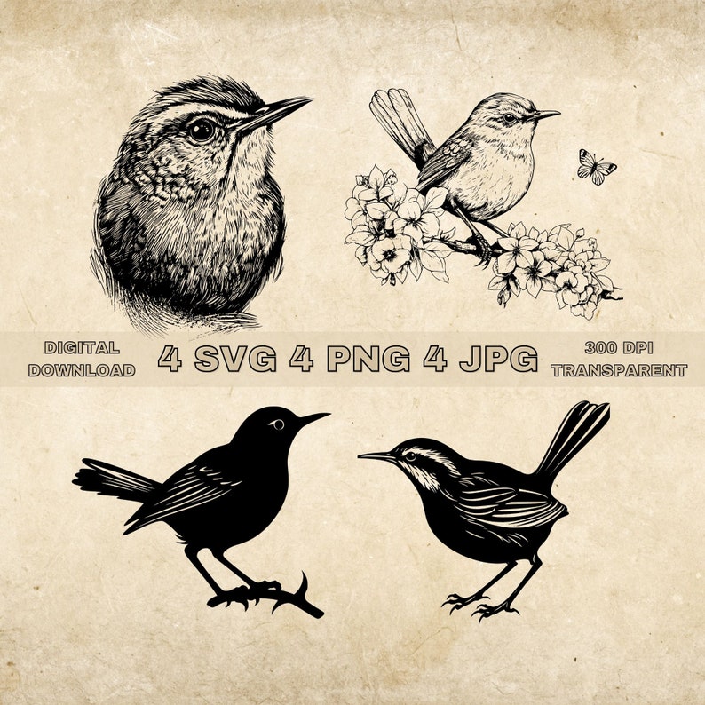 Wren SVG Bundle, PNG, Wren Clipart, Hand Drawn Birds Vector ...