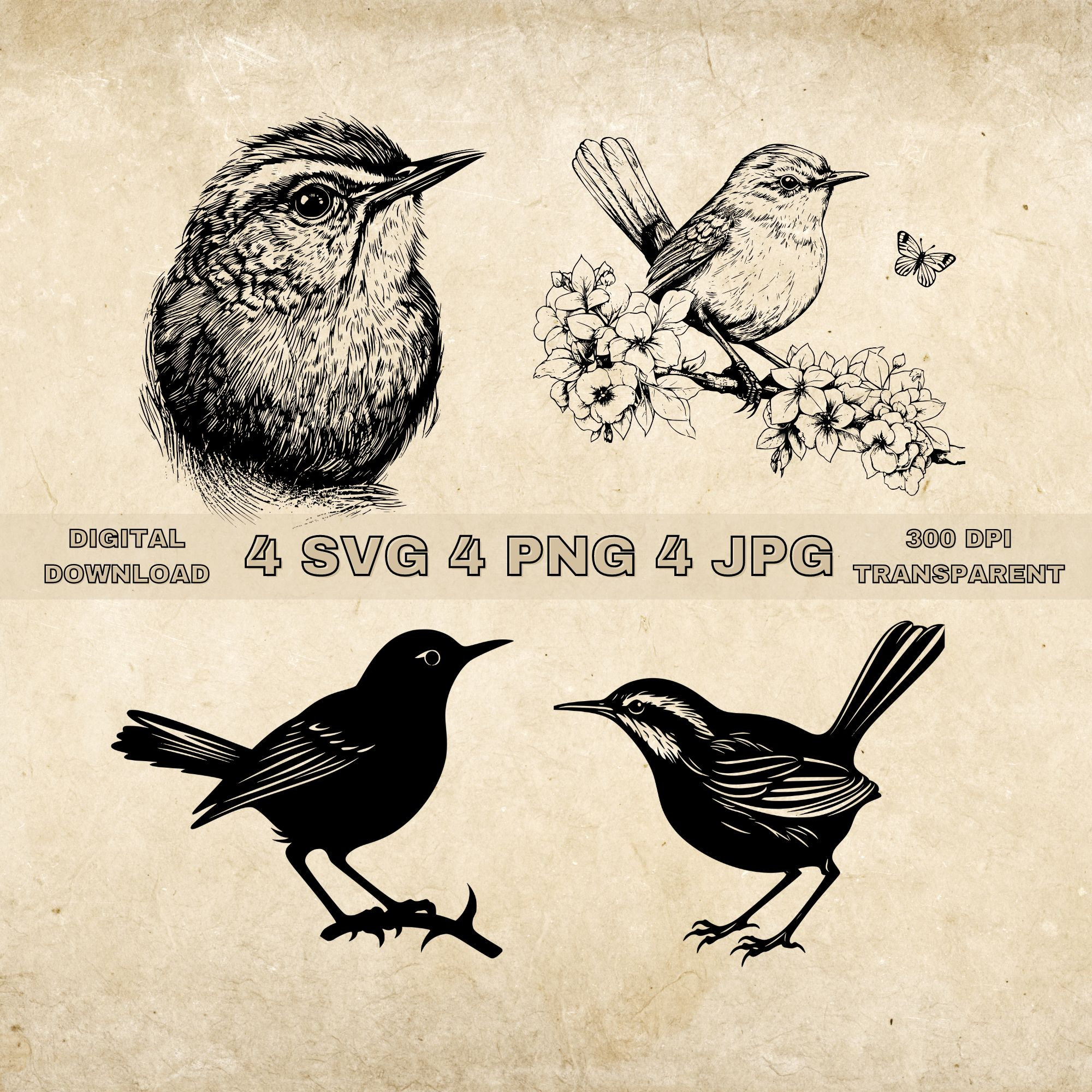 Wren SVG Bundle, PNG, Wren Clipart, Hand Drawn Birds Vector ...