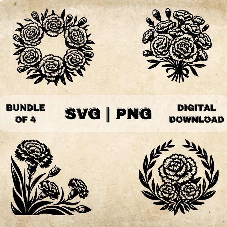 Carnation SVG Bundle, Carnations Flowers Clipart, Hand Drawn Floral ...