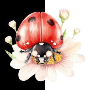 Ladybug Clipart, Ladybug PNG, Cute Bugs and Flowers Clip Art, Nursery ...