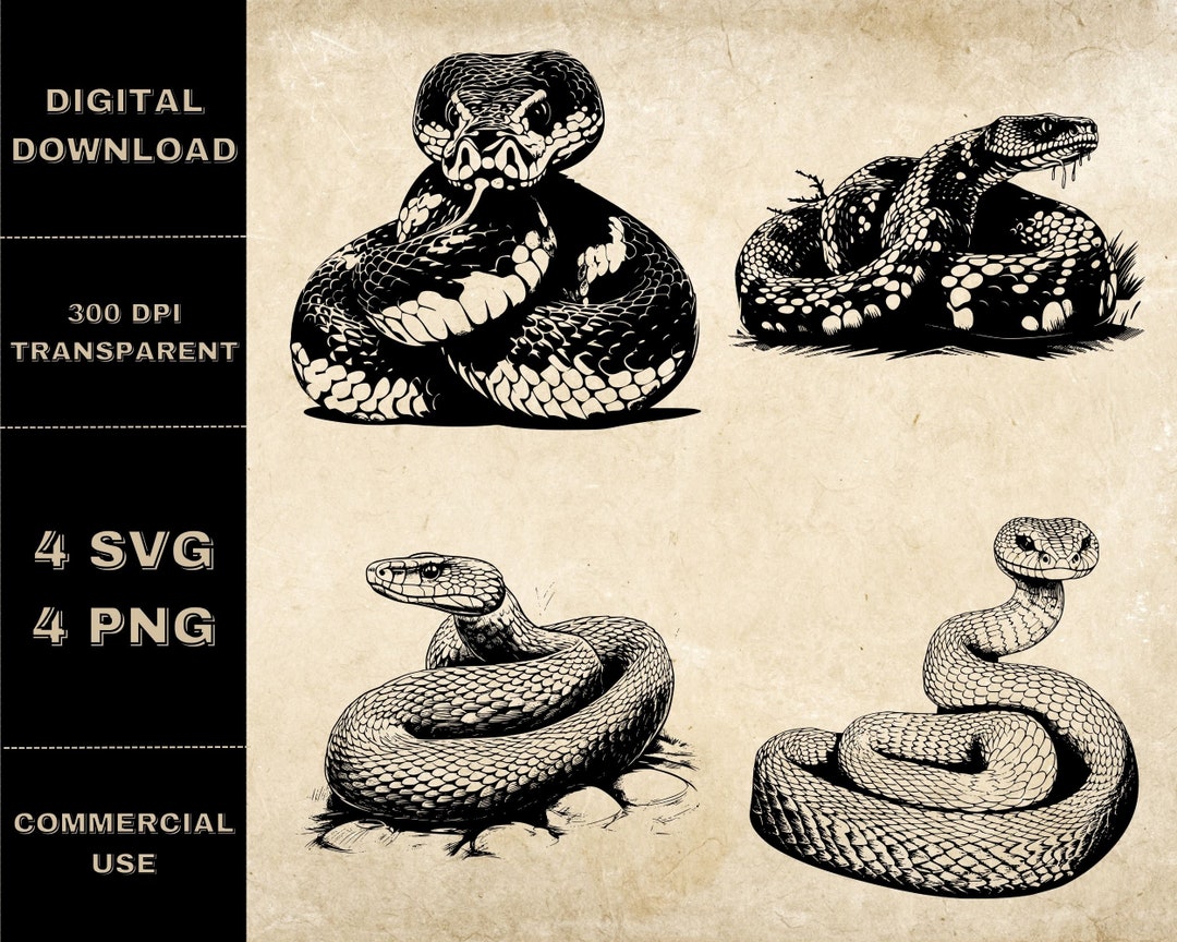 Rattlesnake SVG Bundle, PNG, Snake Clipart, Hand Drawn Snakes Vector ...